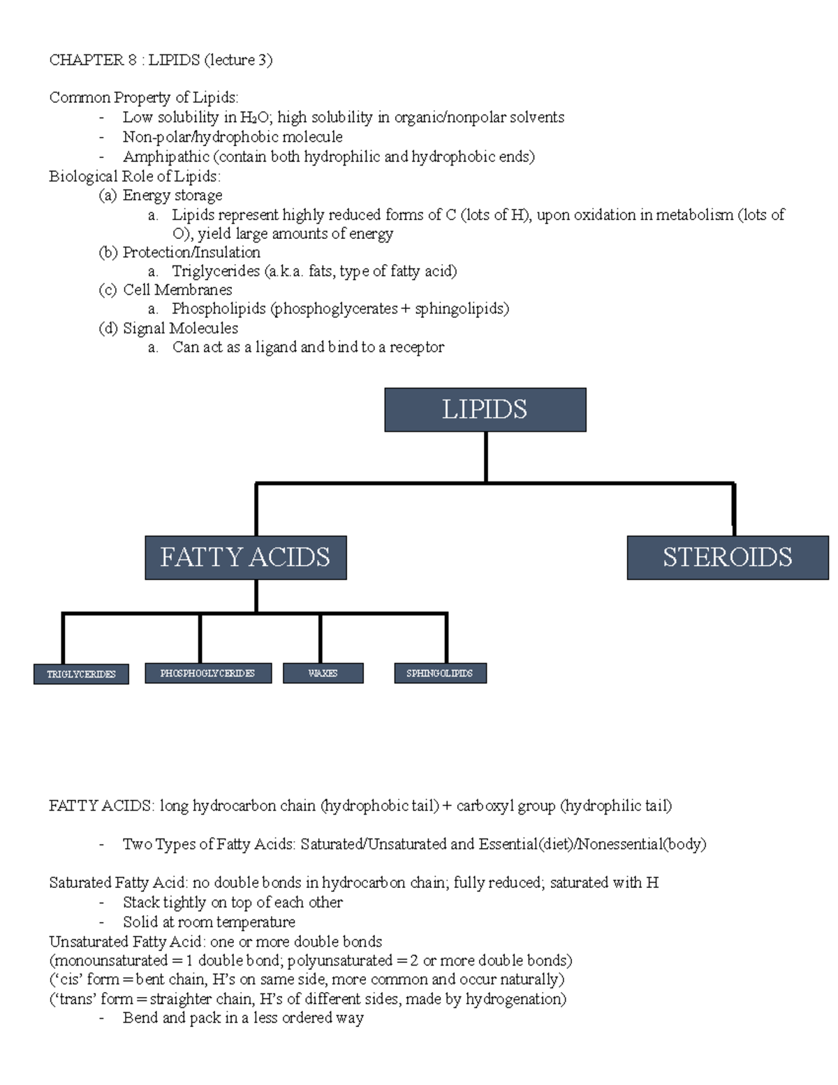 Test 1 Study Guide - Biochem - CHAPTER 8 : LIPIDS (lecture 3) Common ...