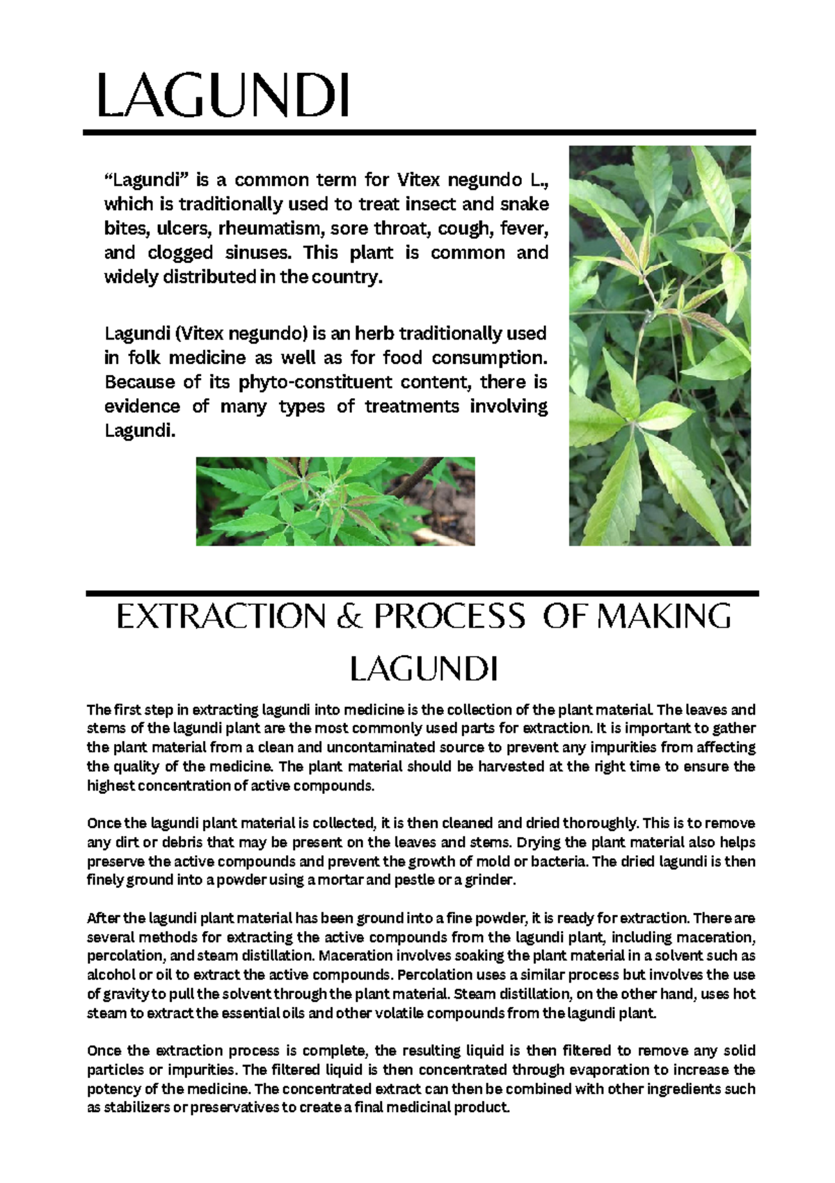White Grey Simple Magazine Article Page - LAGUNDI EXTRACTION & PROCESS ...