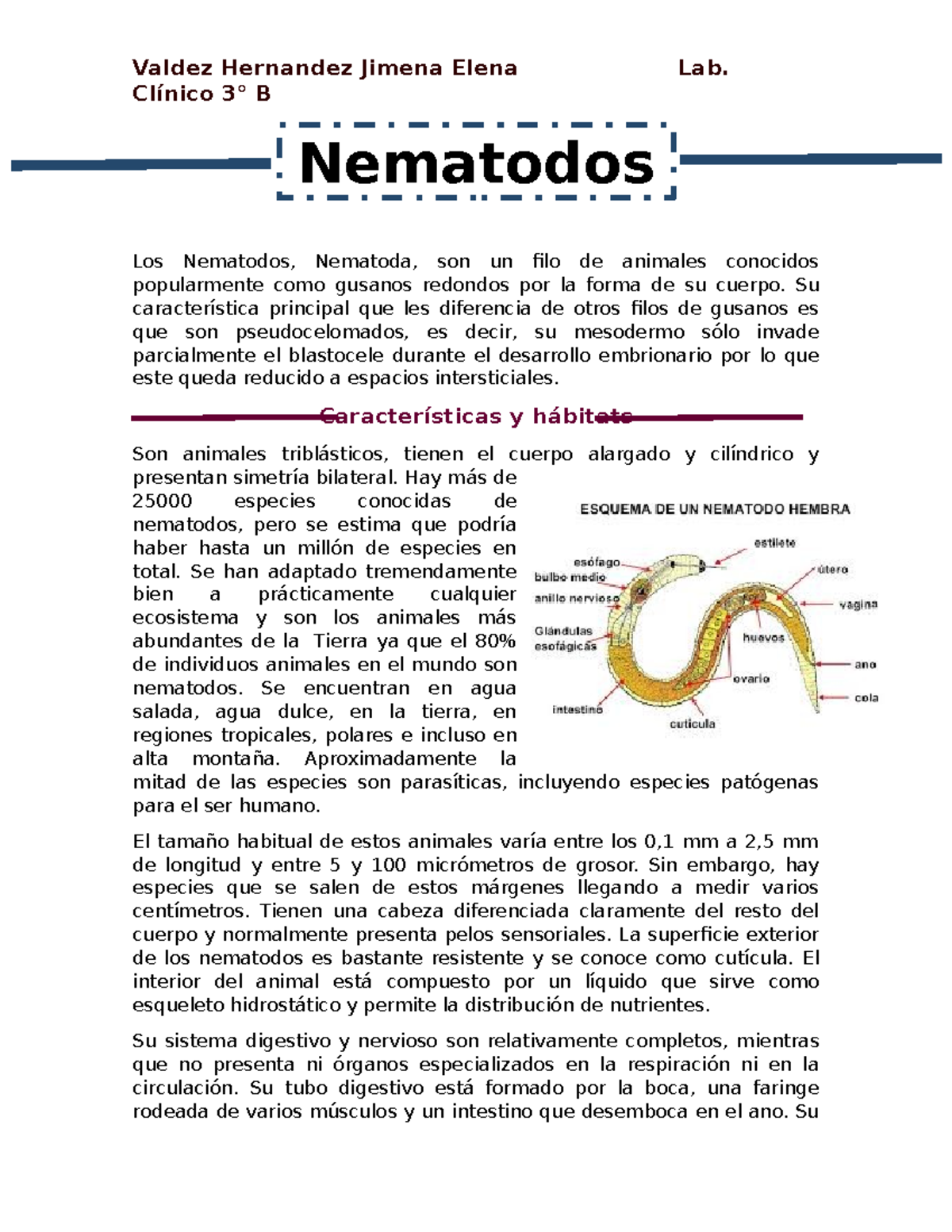Altlas-de-Nematodos-y-Artropodos 4 - Clínico 3° B Los Nematodos, Nematoda, son un filo de ...