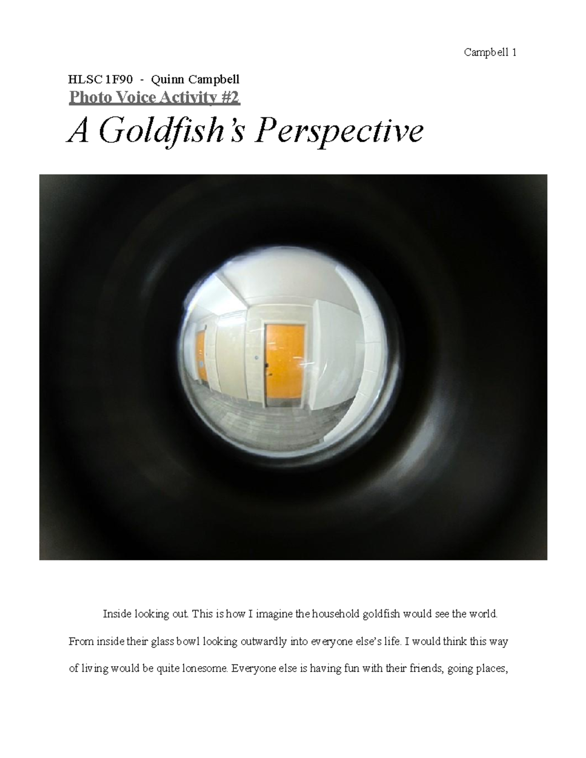 Photovoice Assignment #2 - Campbell 1 HLSC 1F90 - Quinn Campbell Photo ...