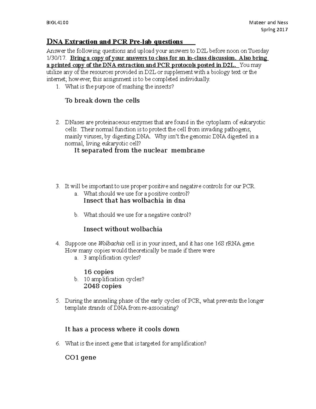 DNA+Extraction+and+PCR+Pre Lab+Assignment - BIOL4100 Mateer and Ness ...