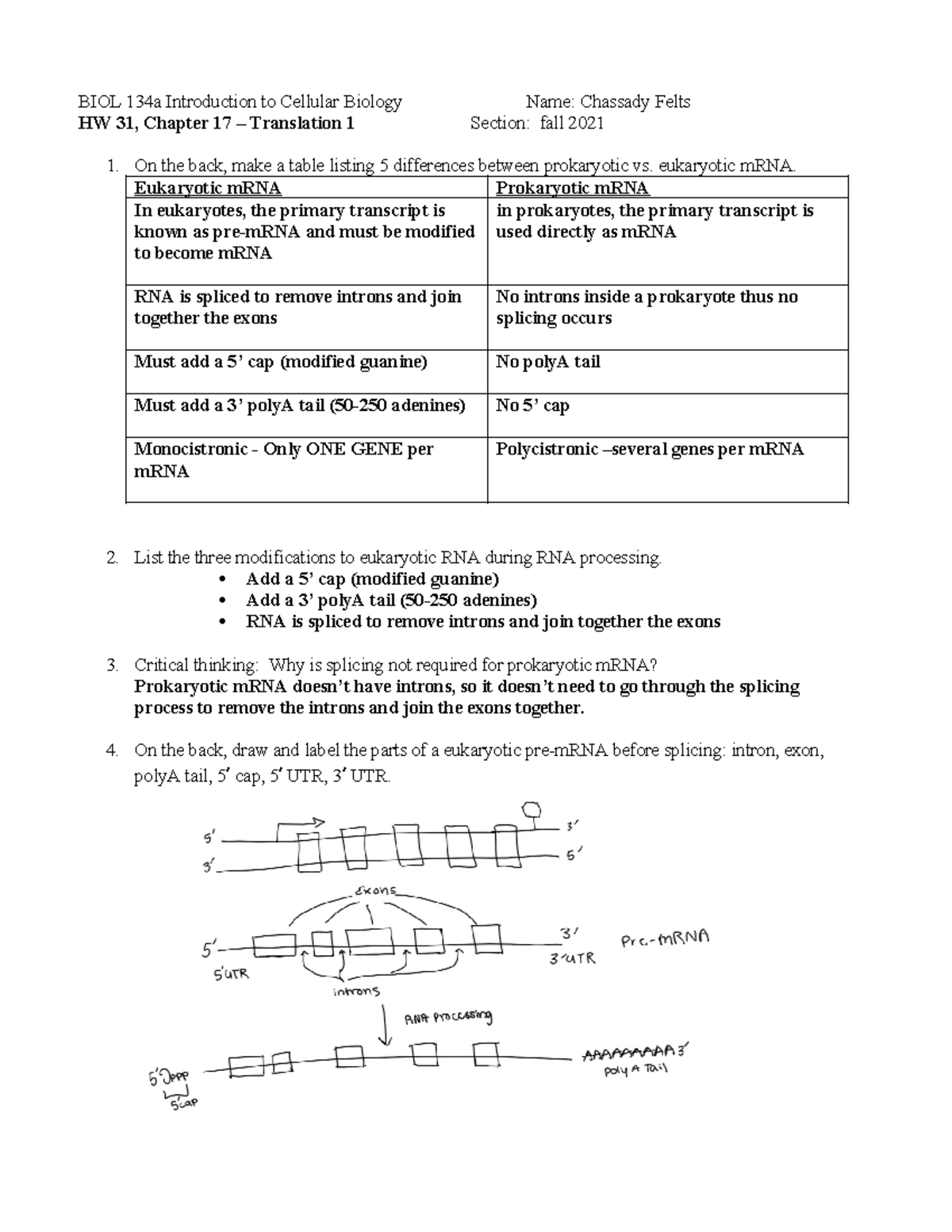 HW31 chap17 translation 1+f21 - BIOL 134a Introduction to Cellular ...