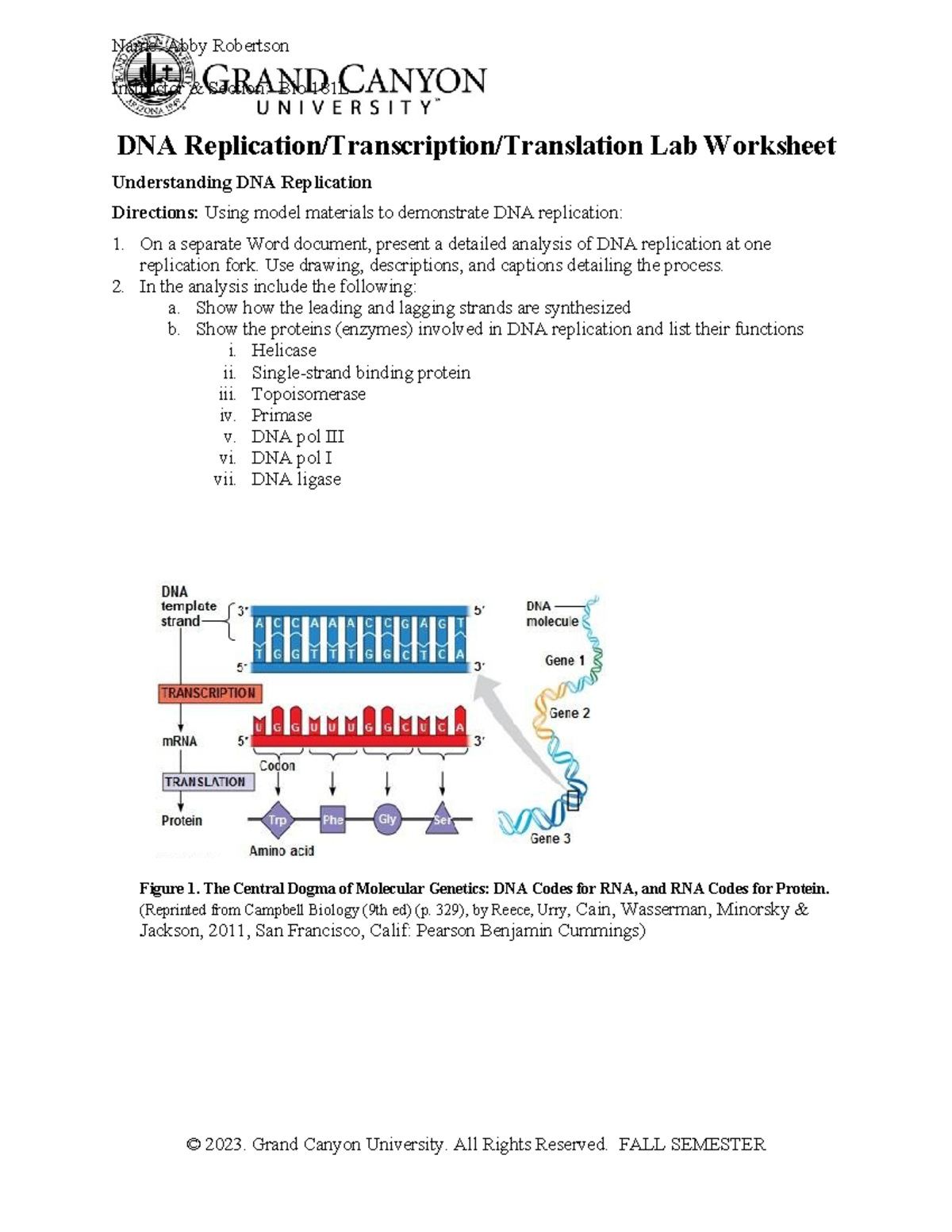 DNA rep lab ws - Instructor & Section: Bio 181L DNA Replication ...