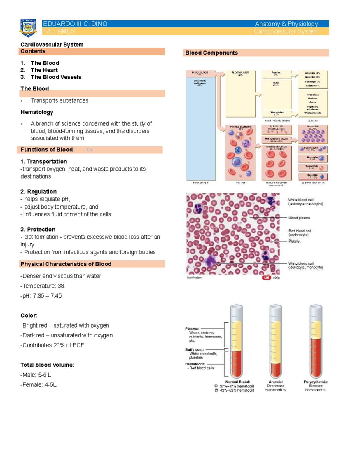 Cardiovascular System - 1A – BMLS Cardiovascular System Cardiovascular ...