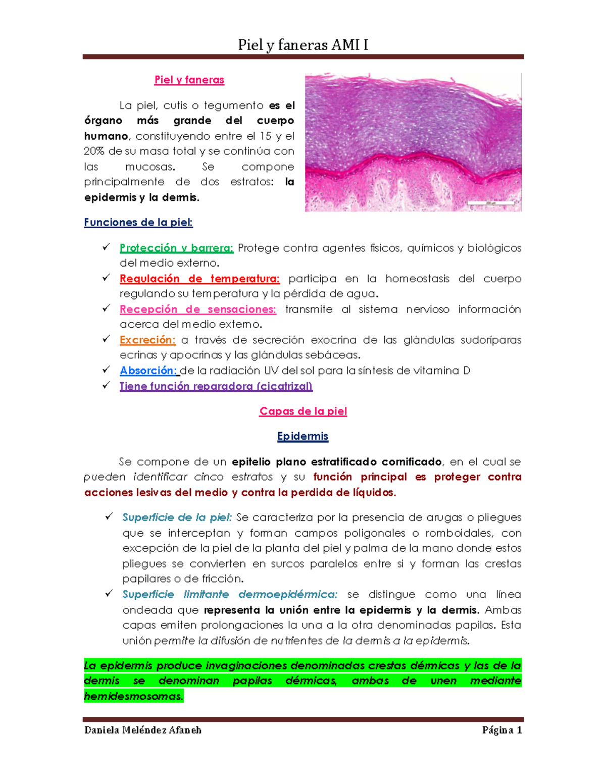 Piel y faneras resumen - Piel y faneras La piel, cutis o tegumento es ...