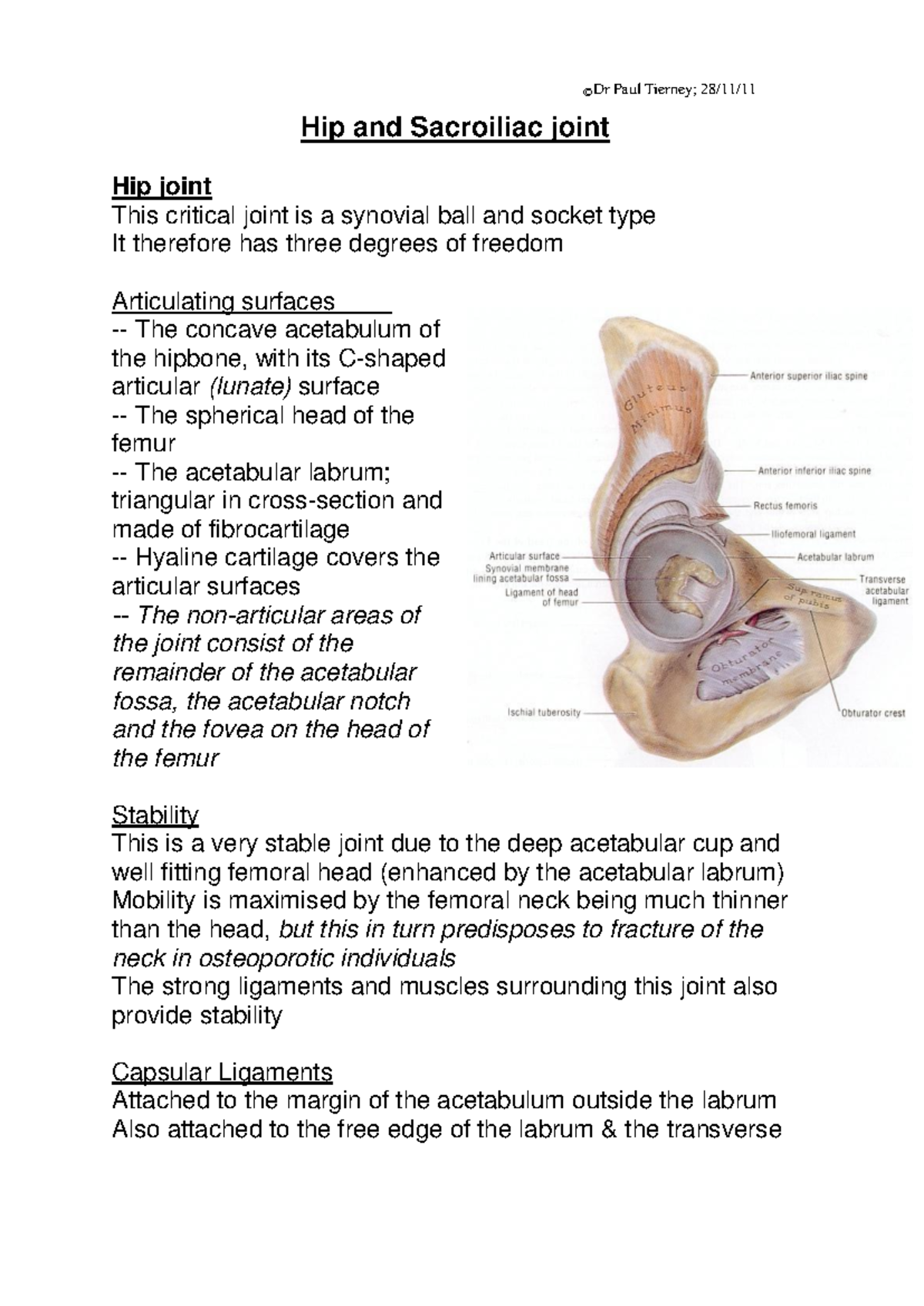 Hip notes for first year anatomy - Paul Hip and Sacroiliac joint Hip ...