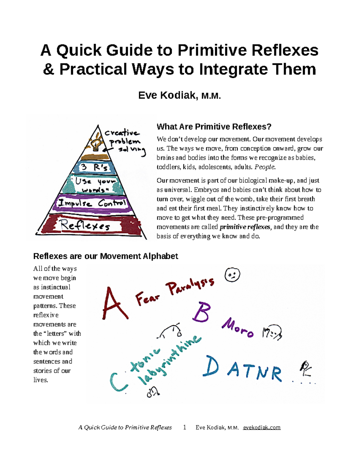 A+quick+guide+to+reflexes+with+slides - A Quick Guide to Primitive ...