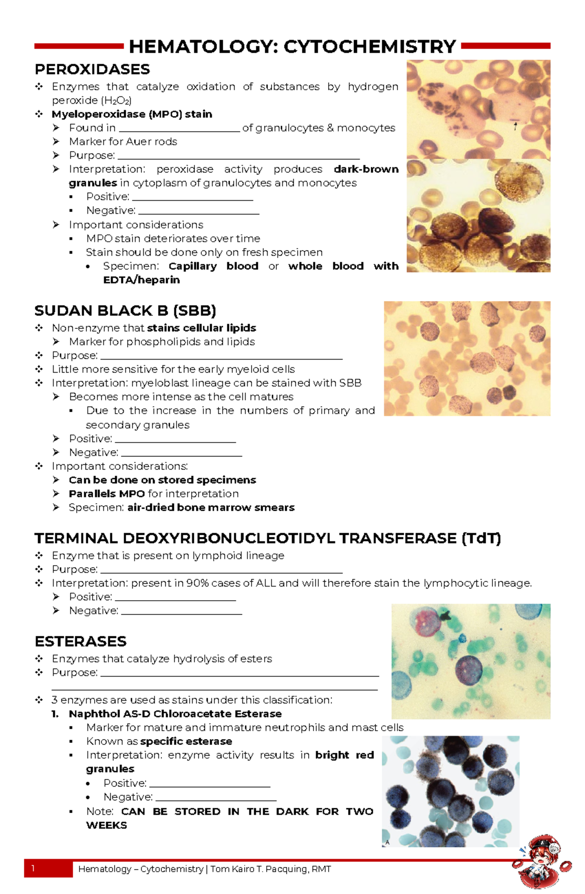 Hematology template - 1 Hematology – Cytochemistry | Tom Kairo T ...
