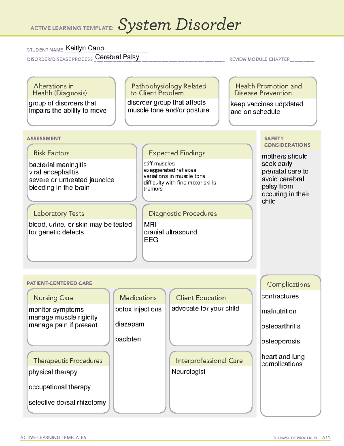 A Template 6 - ACTIVE LEARNING TEMPLATES THERAPEUTIC PROCEDURE A System ...