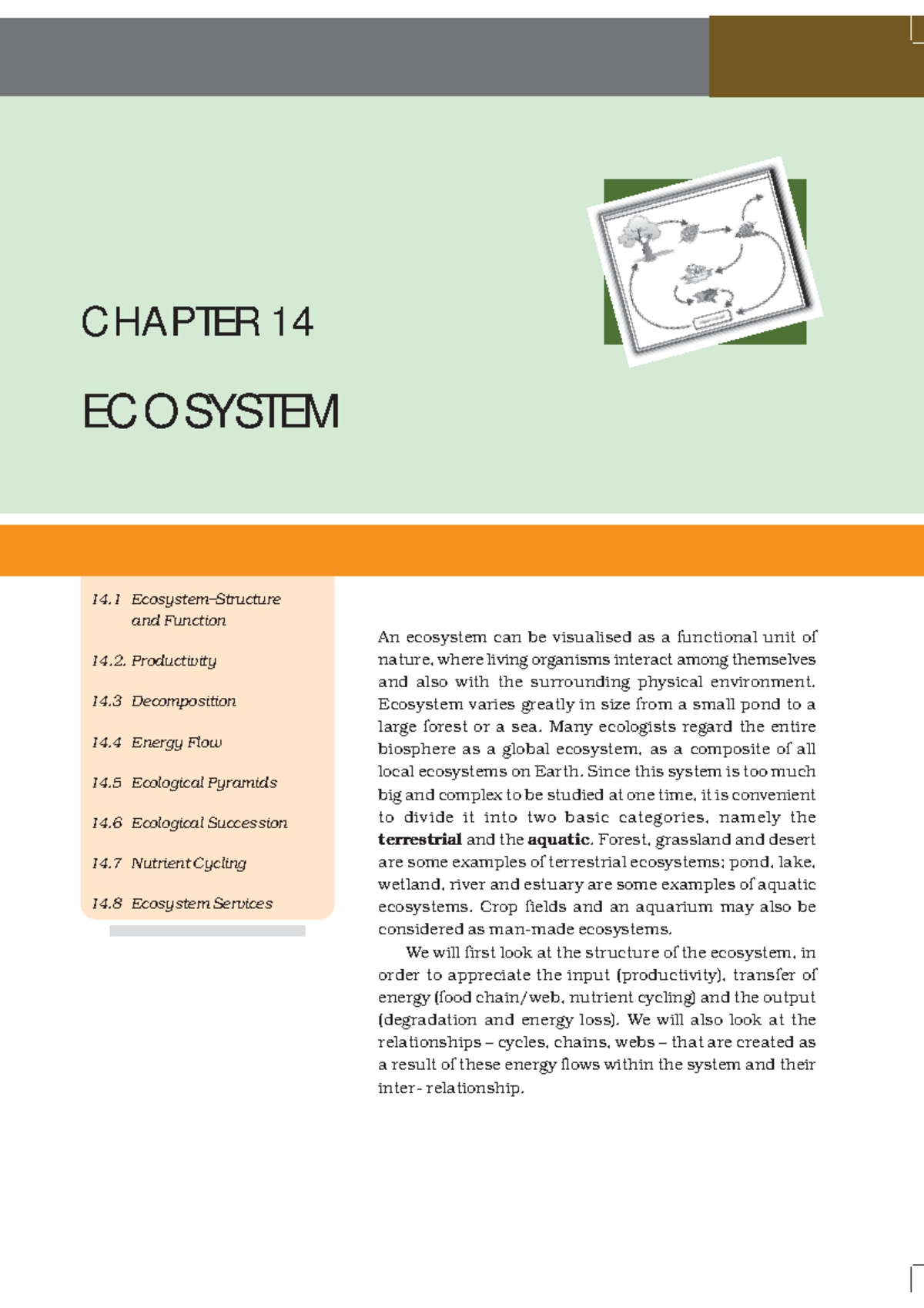 14Ecosystem - Ecosystem notes - An ecosystem can be visualised as a ...