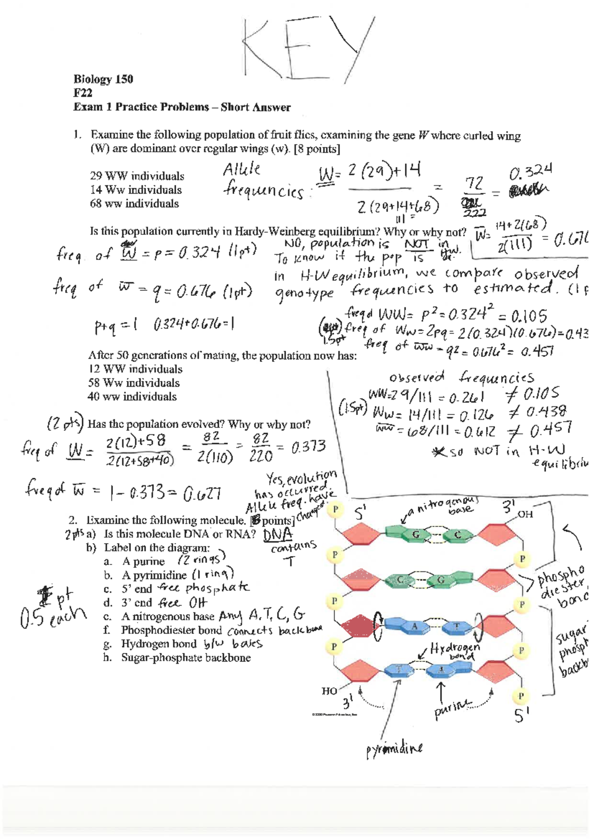 Exam1-Practice Problems-KEY - A Biology 150 F22 Exam 1 Practice Problems Short Answer 1. Examine ...