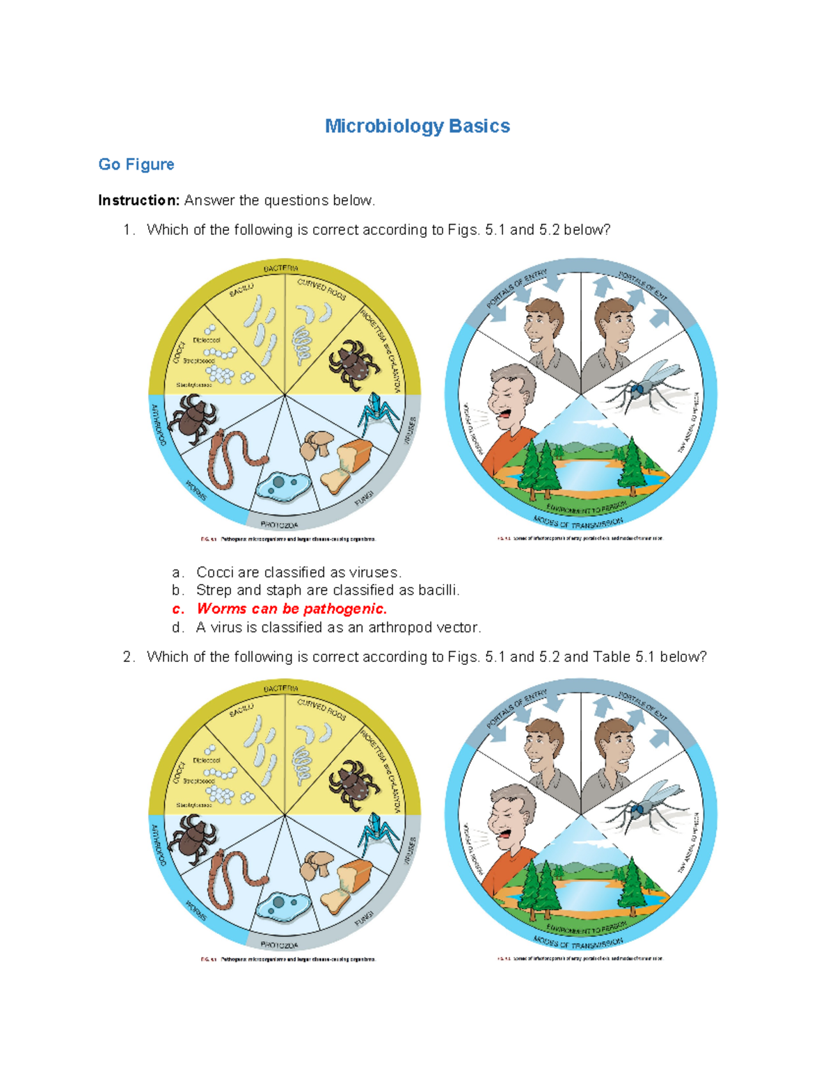 AHP106 Wk1 Assignment Answer Keys - Microbiology Basics Go Figure ...