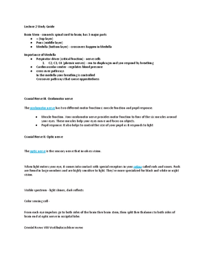 Lab5 reflexes - lab guide - Lab #5: Innate and Conditioned Reflexes ...