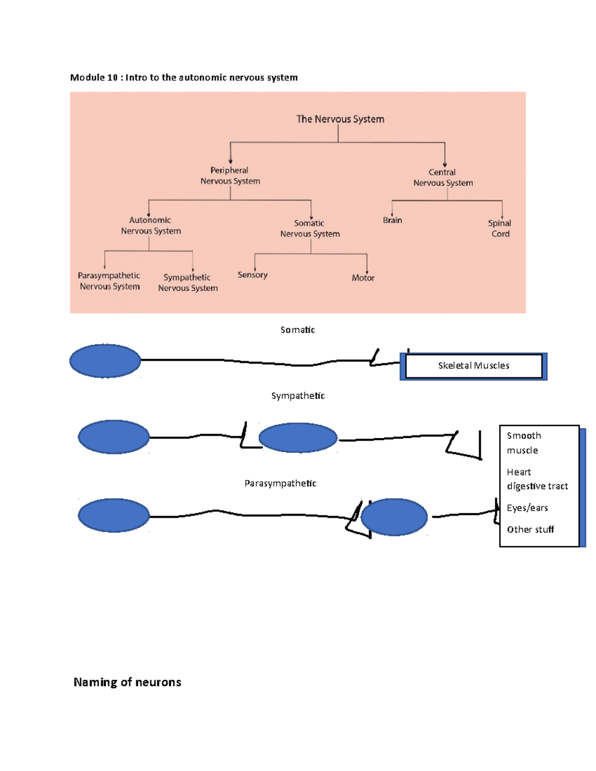 Module 10 - In class lecture notes for Daniel Taylor - Module 10 ...