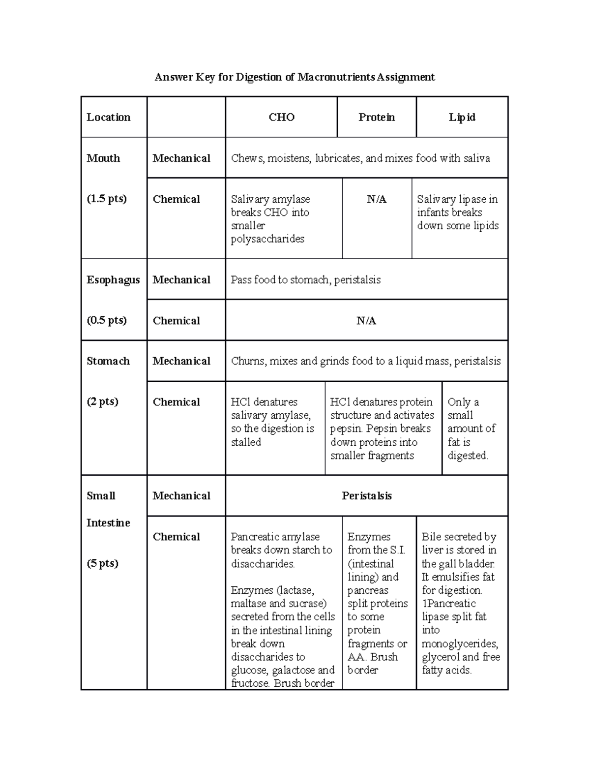Discussion 3 - Key - Notes - Answer Key for Digestion of Macronutrients ...