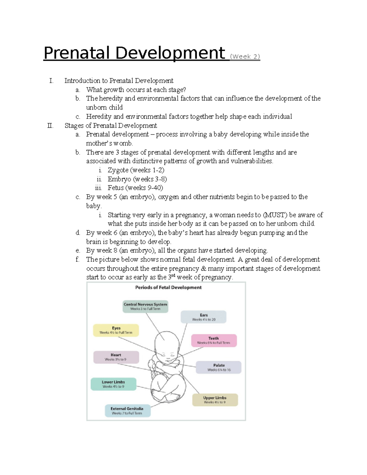 Week 2 Notes - N/A - Prenatal Development (Week 2) I. Introduction to ...