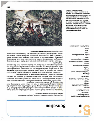 Psych Chapter 4 Notes - Chapter 4 Notes: Module 9 Central core: The ...