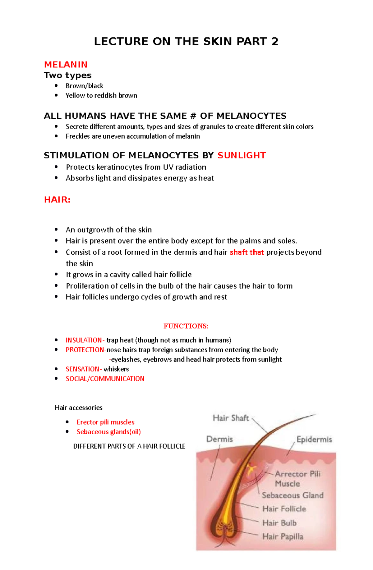 Anaphy - reviewer - LECTURE ON THE SKIN PART 2 MELANIN Two types Brown ...
