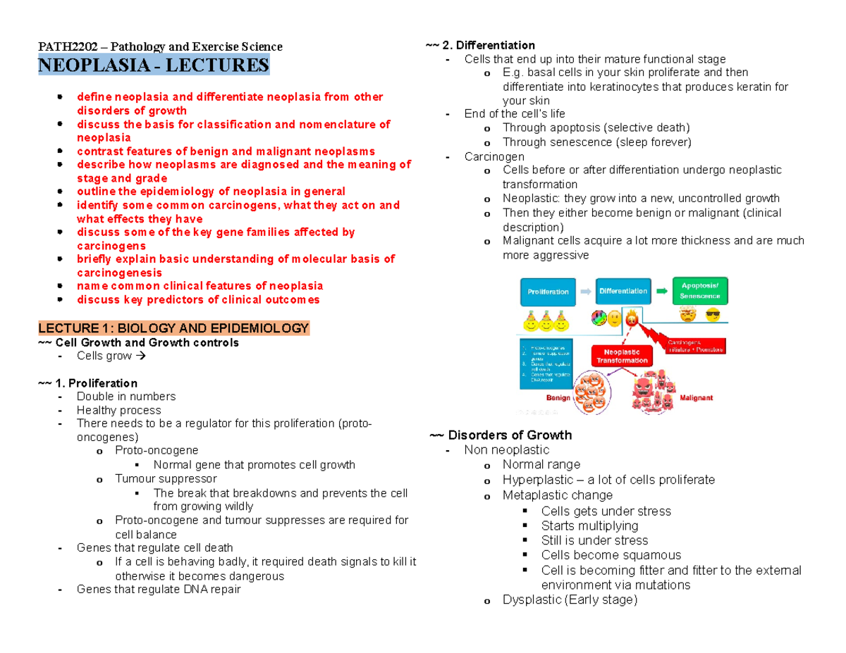 Neoplasia - PATH2202 – Pathology and Exercise Science NEOPLASIA ...