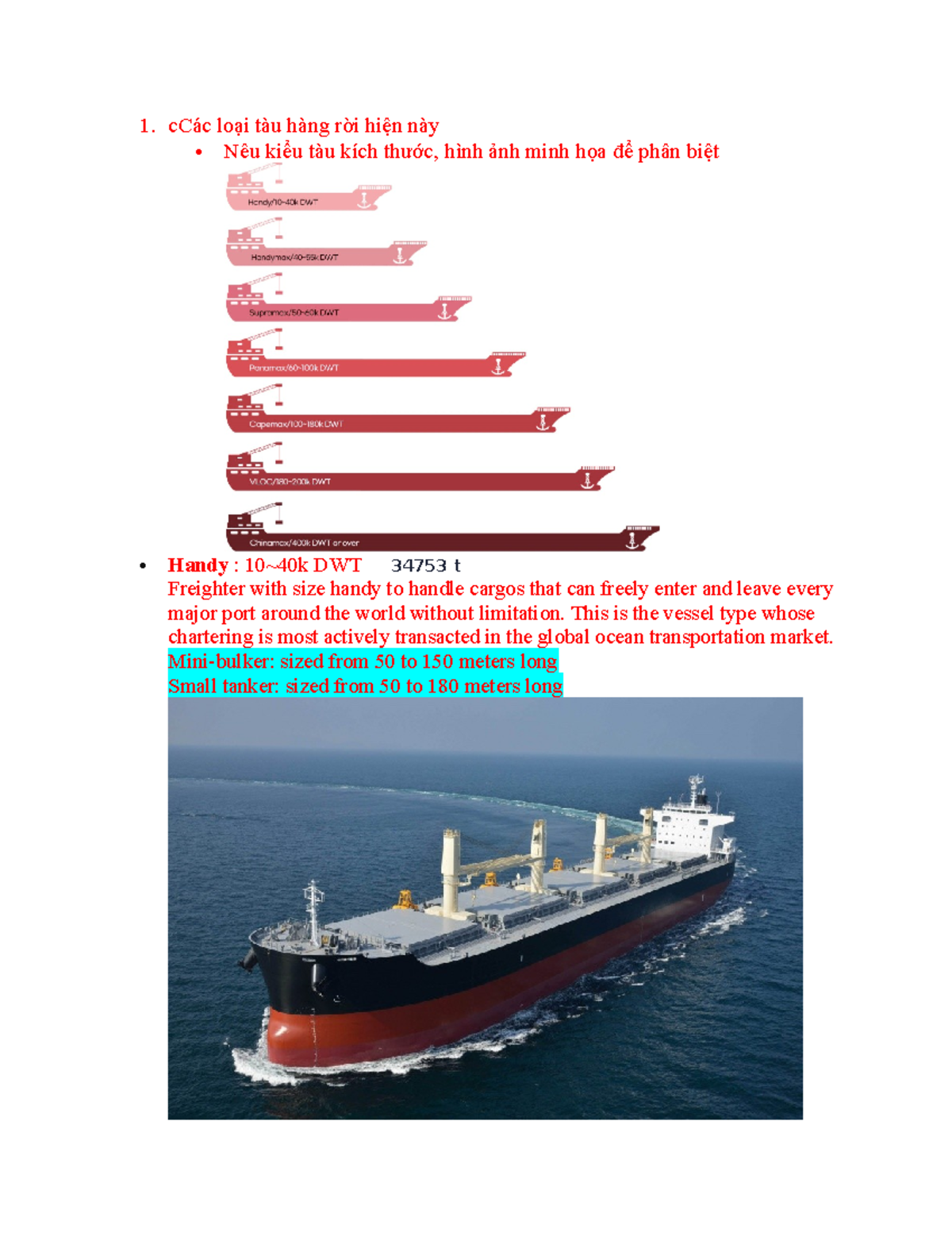 Phần 2 - Types of bulk cargo vessels - 1. cCác loại tàu hàng rời hiện ...