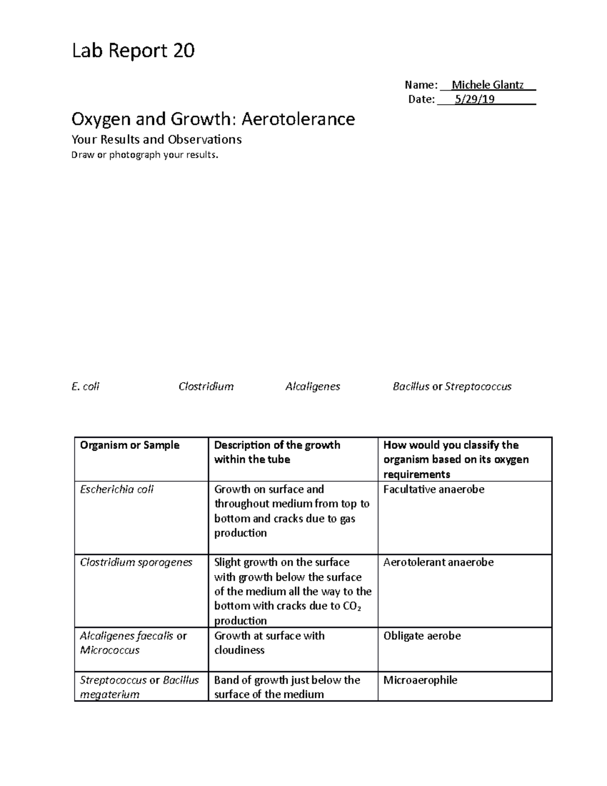 Lab Exercise 20 - Lab Report 20 Name: Michele Glantz Date: 5/29/19 ...