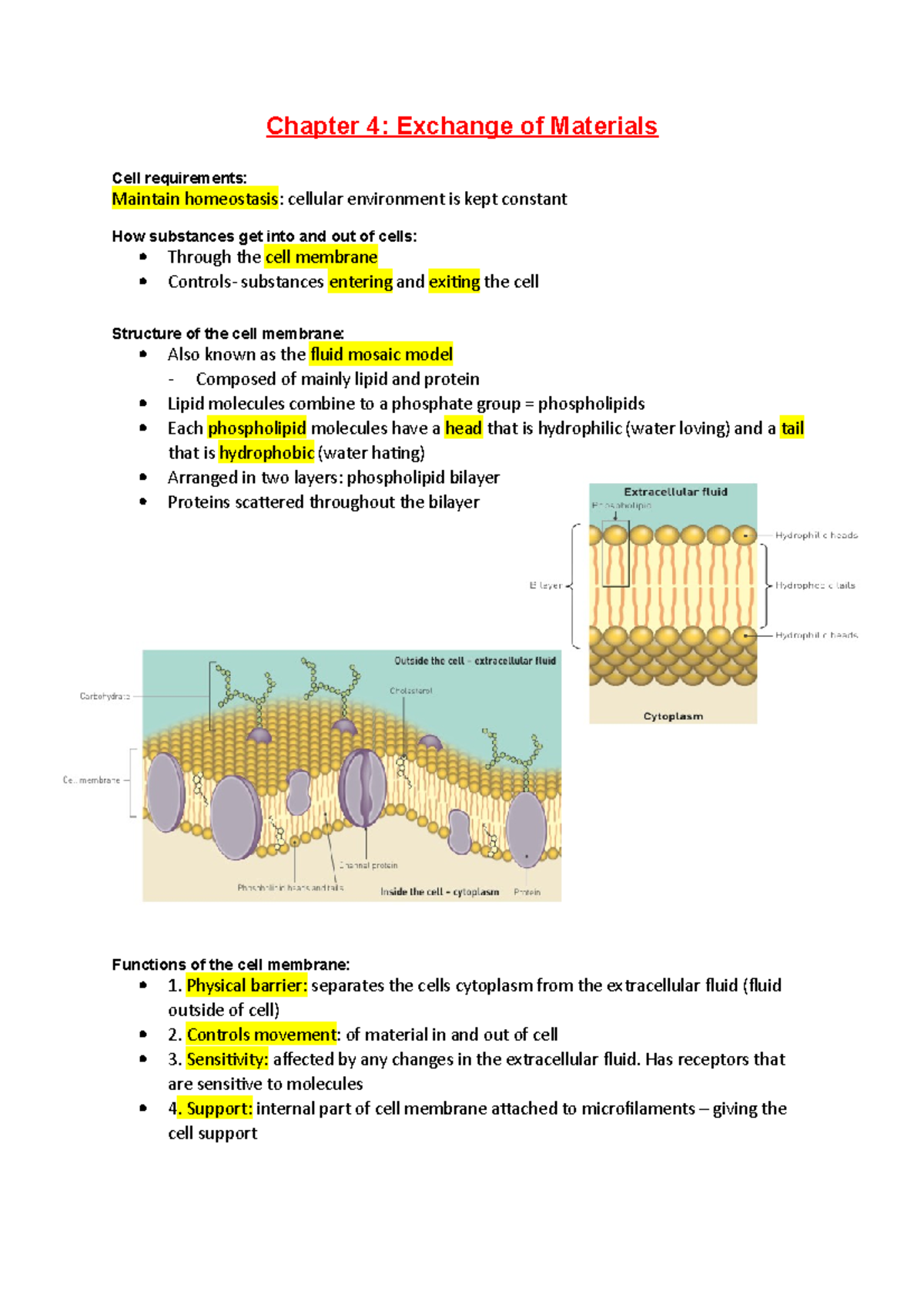 Transport of the Cell - Chapter 4: Exchange of Materials Cell ...