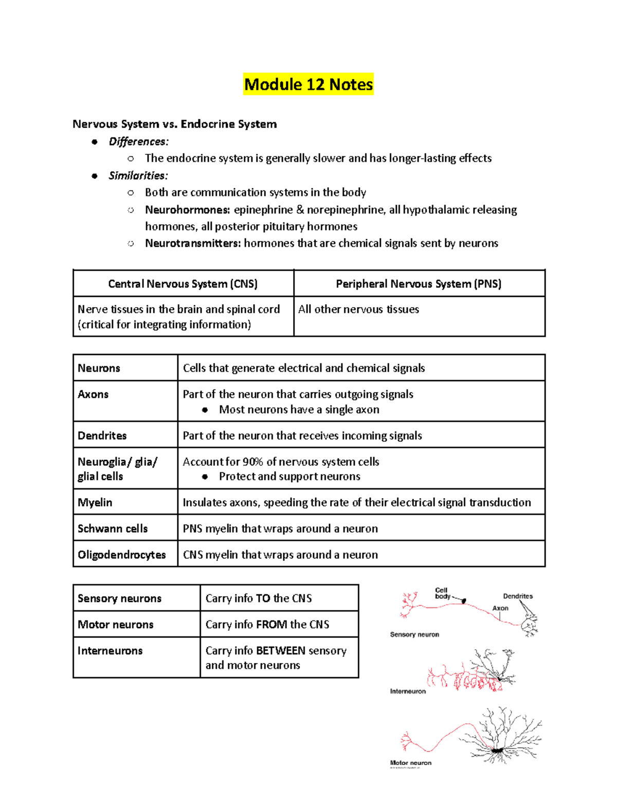 Module 12 Notes - Module 12 Notes Nervous System vs. Endocrine System ...