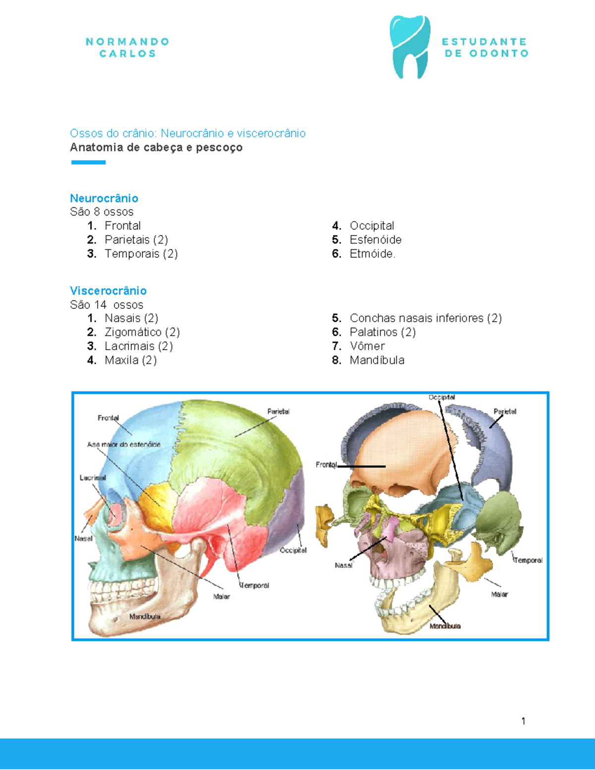 3 - Ossos do cr Ã¢nio Neurocr Ã¢nio e viscerocr Ã¢nio - Ossos do crânio: Neurocrânio e - Studocu