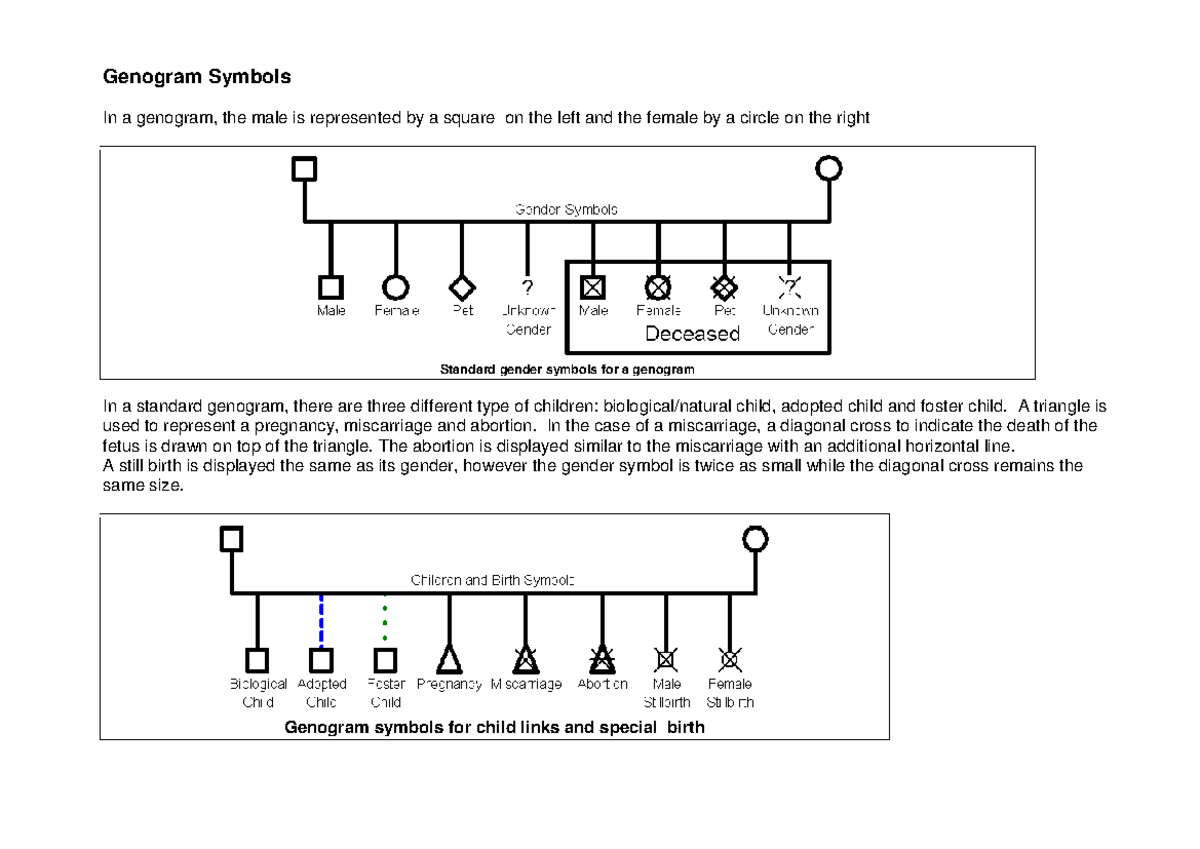 Genogram-detail - Genogram Symbols In a genogram, the male is represented by a square on the ...