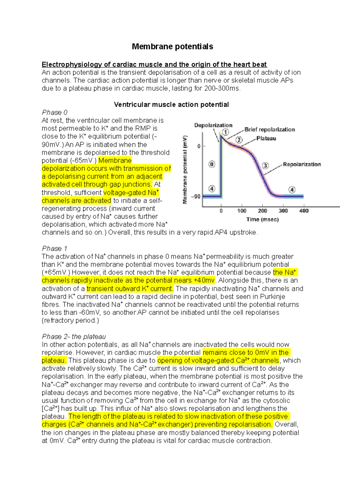 Membrane potentials - Membrane potentials Electrophysiology of cardiac ...