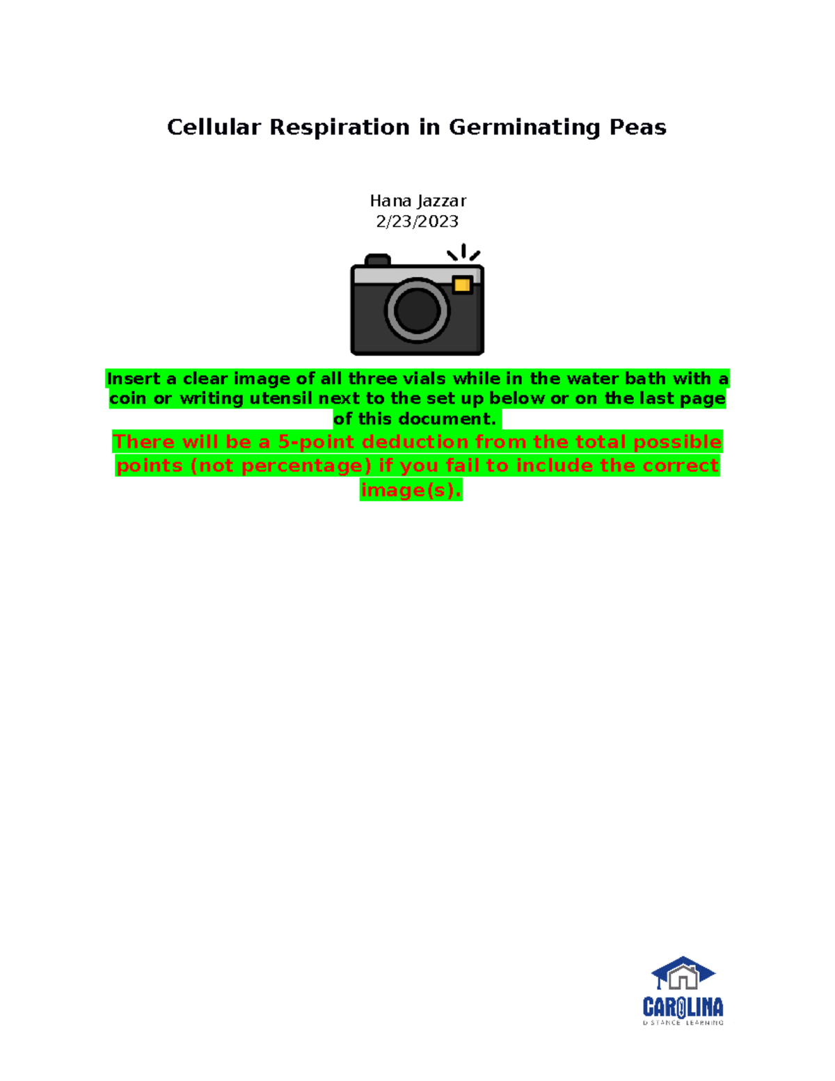 Cellular respiration lab - Cellular Respiration in Germinating Peas ...