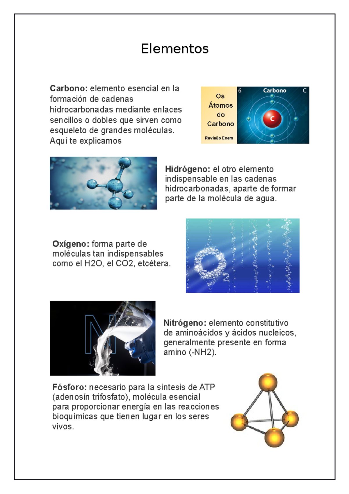 Elementos foro 5 - Elementos Carbono: elemento esencial en la formación ...
