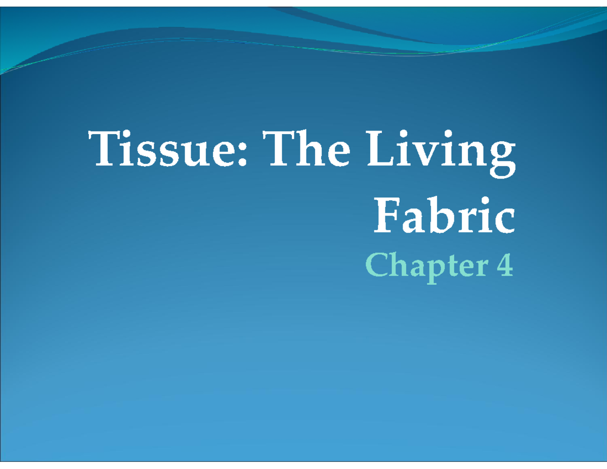 4, Tissues (Vu,2018 ) - Tissue: The Living Fabric Chapter 4 Groups of ...