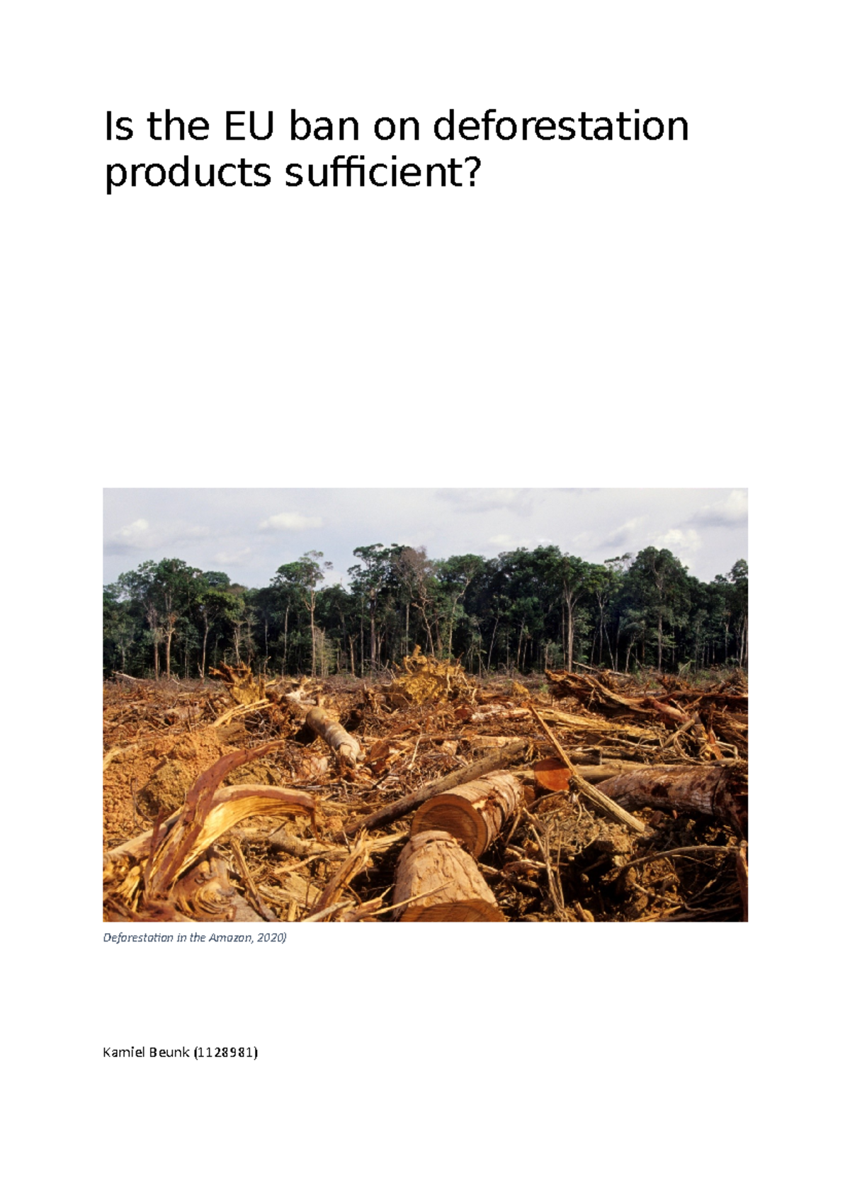 Essay forest governance Kamiel Beunk - Is the EU ban on deforestation ...