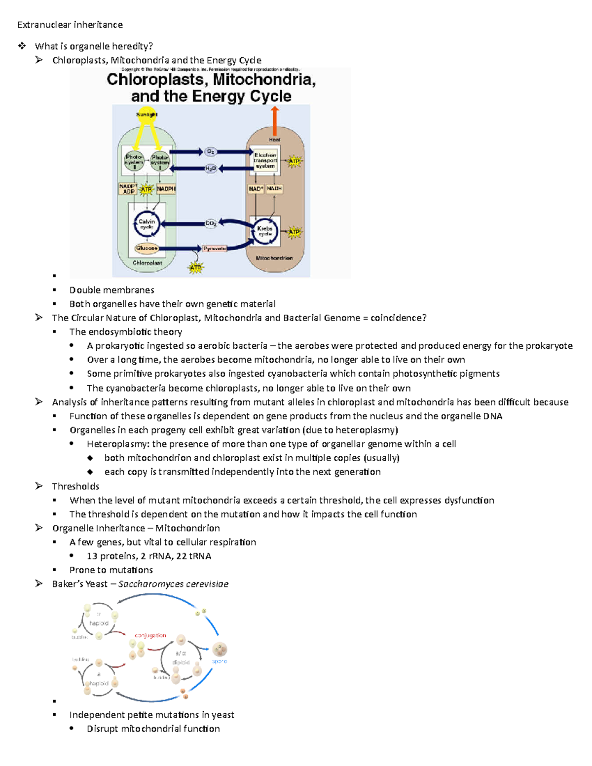 Extranuclear Inheritance - Extranuclear inheritance What is organelle heredity? Chloroplasts ...