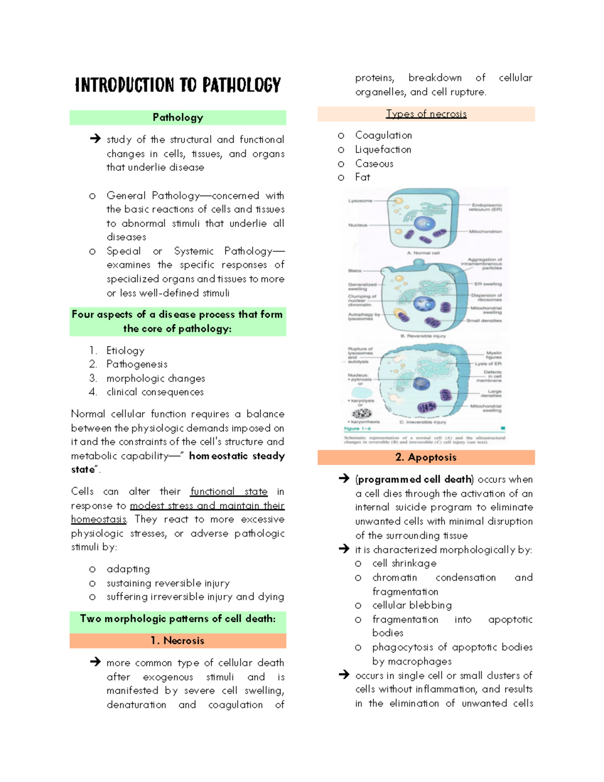 Intro to Pathology - INTRODUCTION TO PATHOLOGY Pathology study of the ...