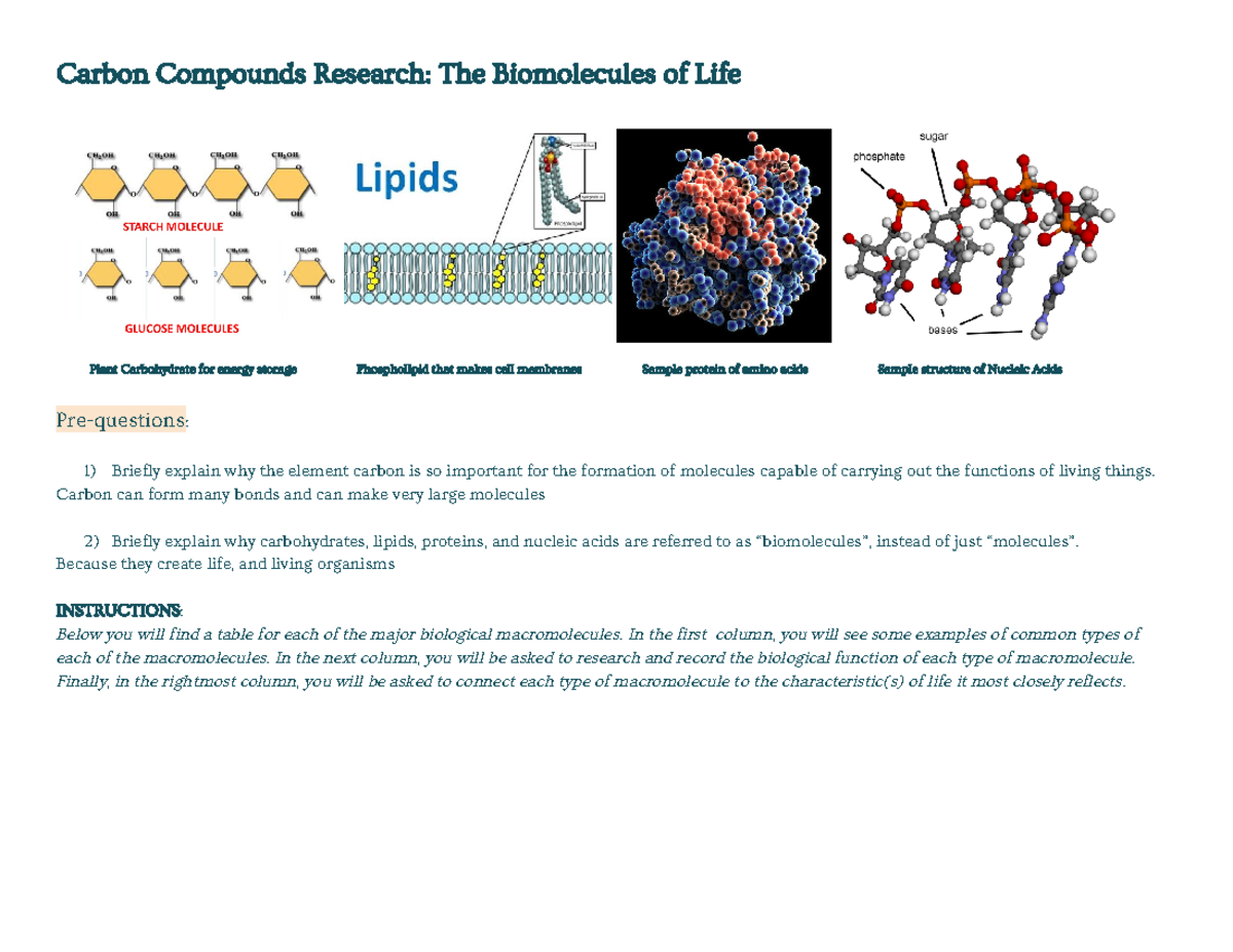Copy of '23 Carbon Compounds Research Biomolecules of Life - Carbon ...