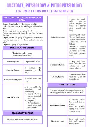 Lec-integumentary system - LECTURE / FIRST SEMESTER INTEGUMENTARY SYSTEM FUNCTIONS Made up of ...