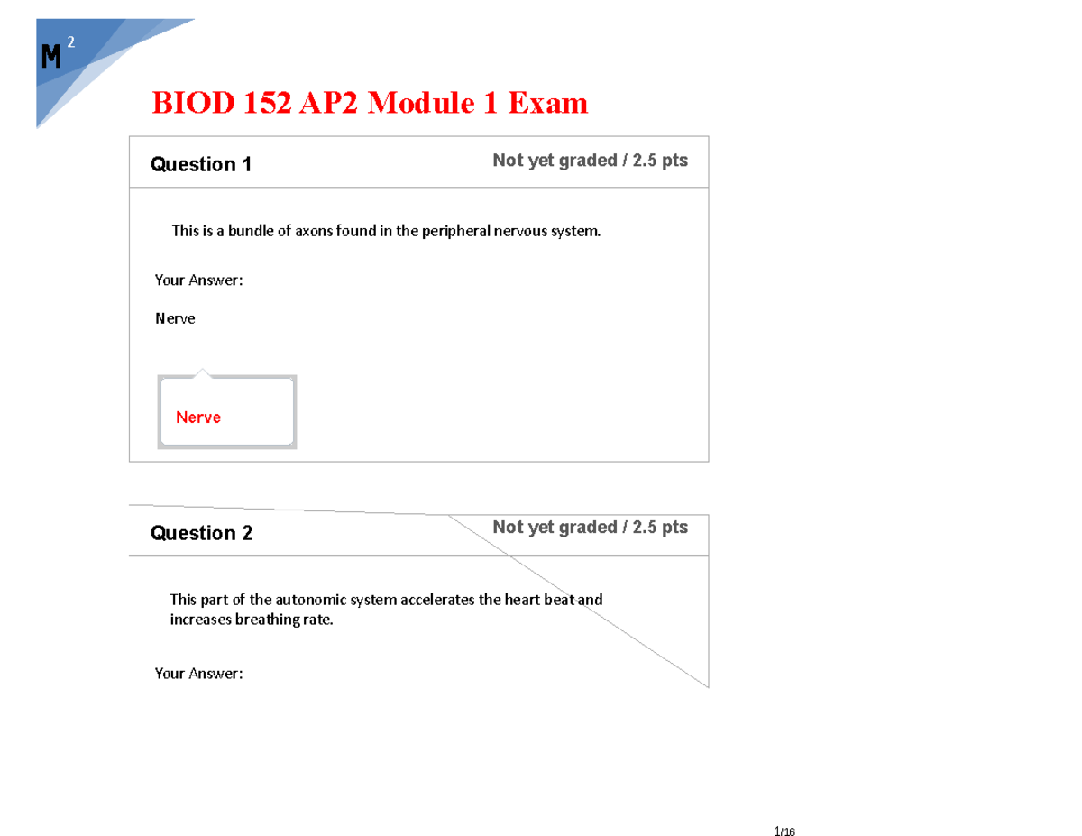 AP2 Module 1 Exam - 2 Nerve Your Answer: Nerve This is a bundle of axons found in the peripheral ...
