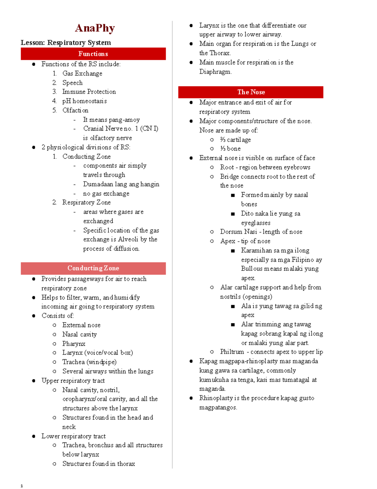 Ana Phy (Respiratory System) - AnaPhy Lesson: Respiratory System ...