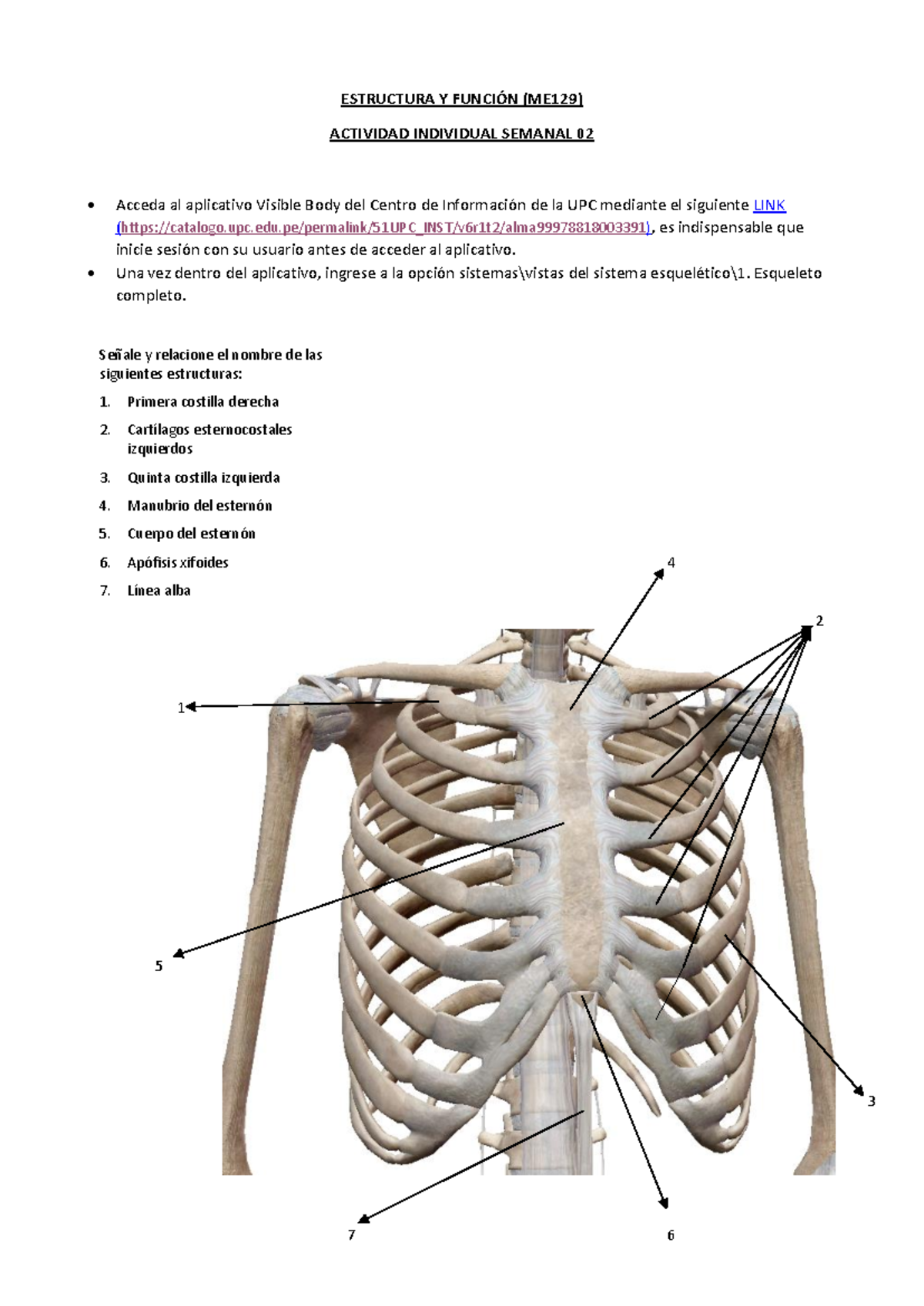 ME129 Ey F Tarea Sem02 - Semana 2 - ESTRUCTURA Y FUNCIÓN (ME1 29 ...