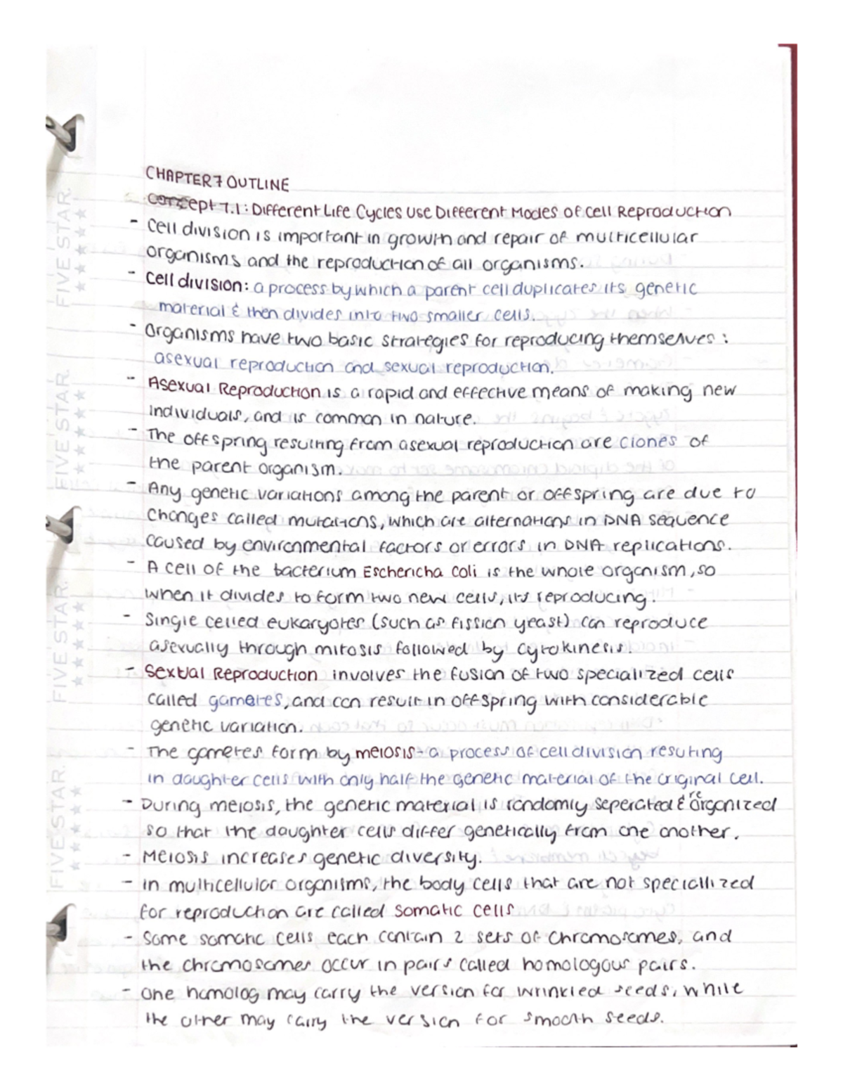 Ap bio ch7 notes - Studocu