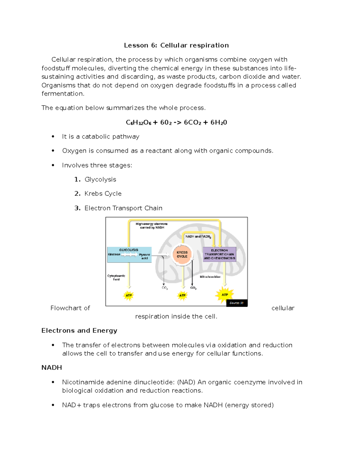 Lesson 6 Cellular respiration - biology - Lesson 6: Cellular ...