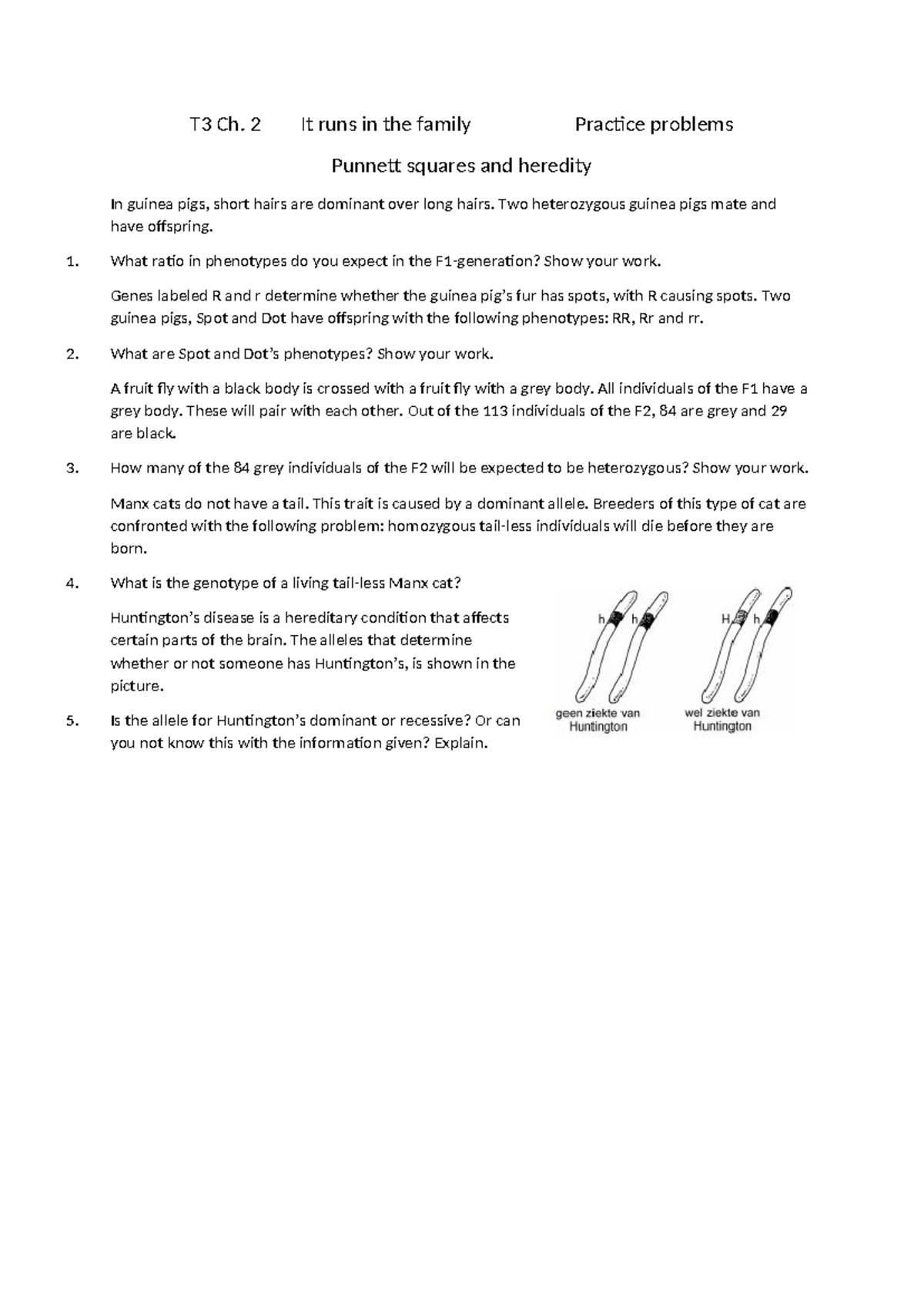 Heredity practice probs 2021 - Punnett squares and heredity In guinea ...