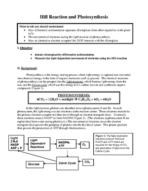 BIO Notes Movement in cells - 1 MOVEMENT IN CELLS Diffusion Diffusion ...