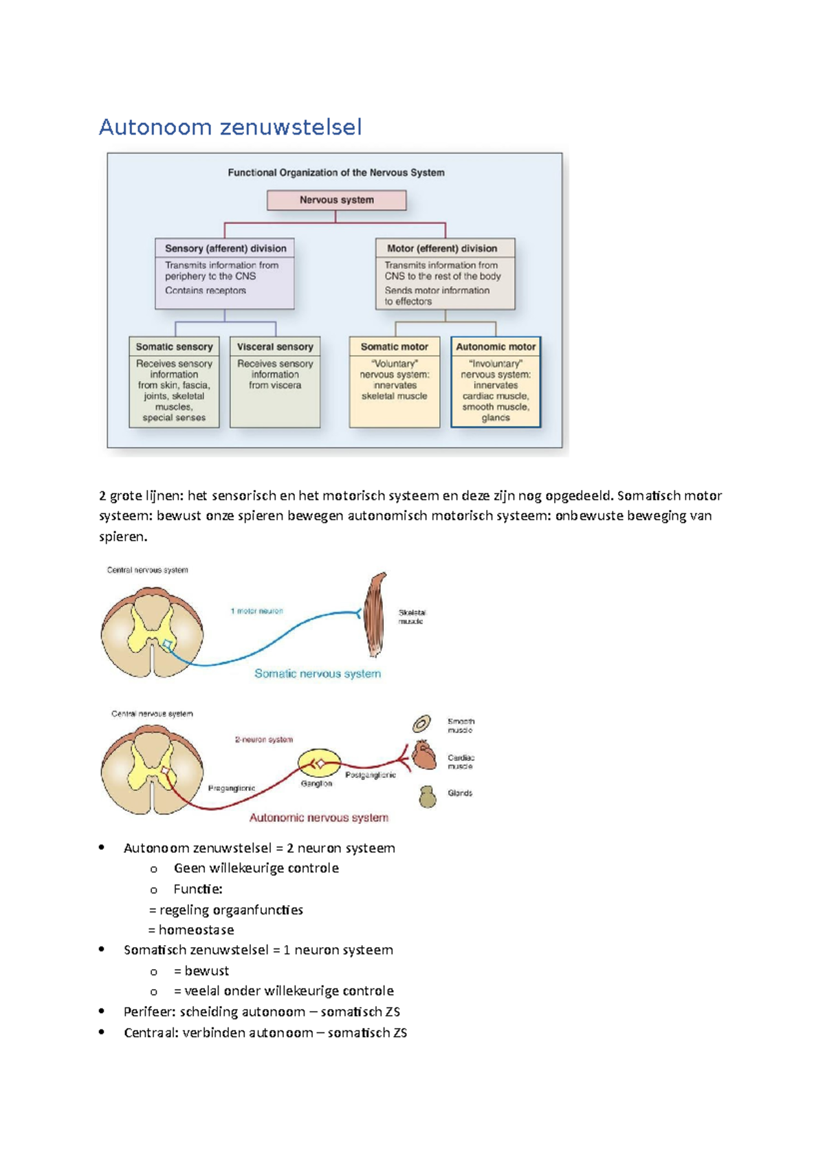 Autosomaal zenuwstelsel - Autonoom zenuwstelsel 2 grote lijnen: het ...
