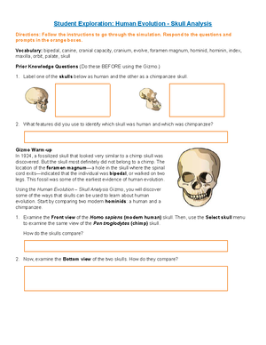 Filled answers Go-Go-Stem-Cells worksheet pdf - NAME DATE Go, Go, Stem ...