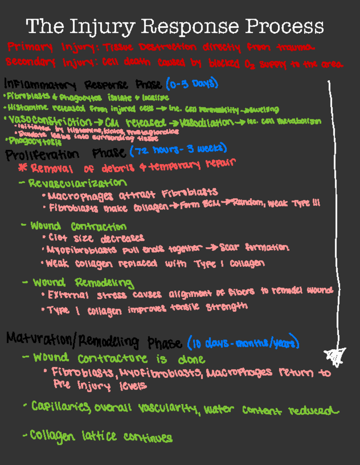 Homework 1 Final - Injury Response and Pain Gate Theory - The Injury ...