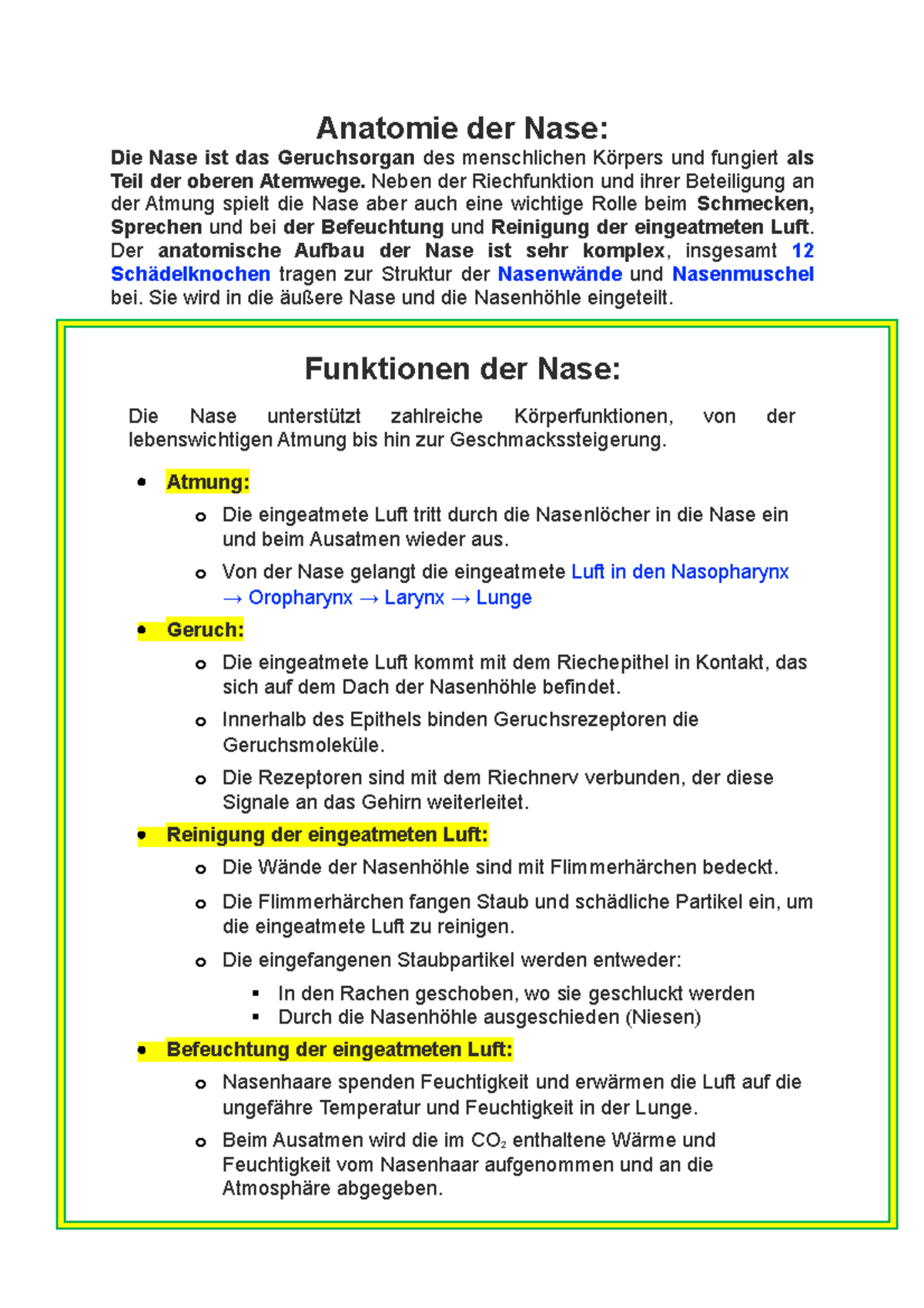 Anatomie der Nase 3 notizen - Anatomie der Nase: Die Nase ist das ...