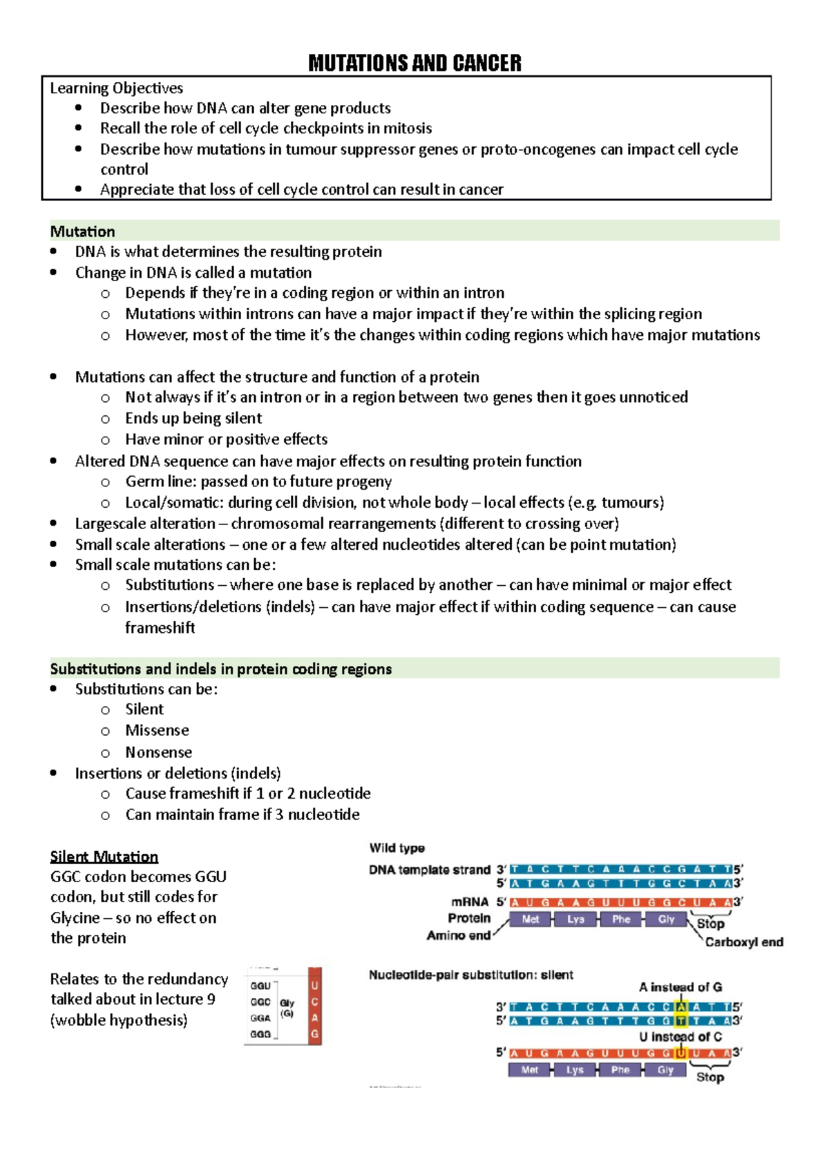 Lecture 6 Mutations and Cancer - Learning Objectives Describe how DNA ...